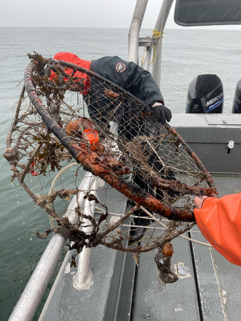 Case Study: GHOST GEAR RECOVERY OPERATION - SEAMOR Marine Ltd.