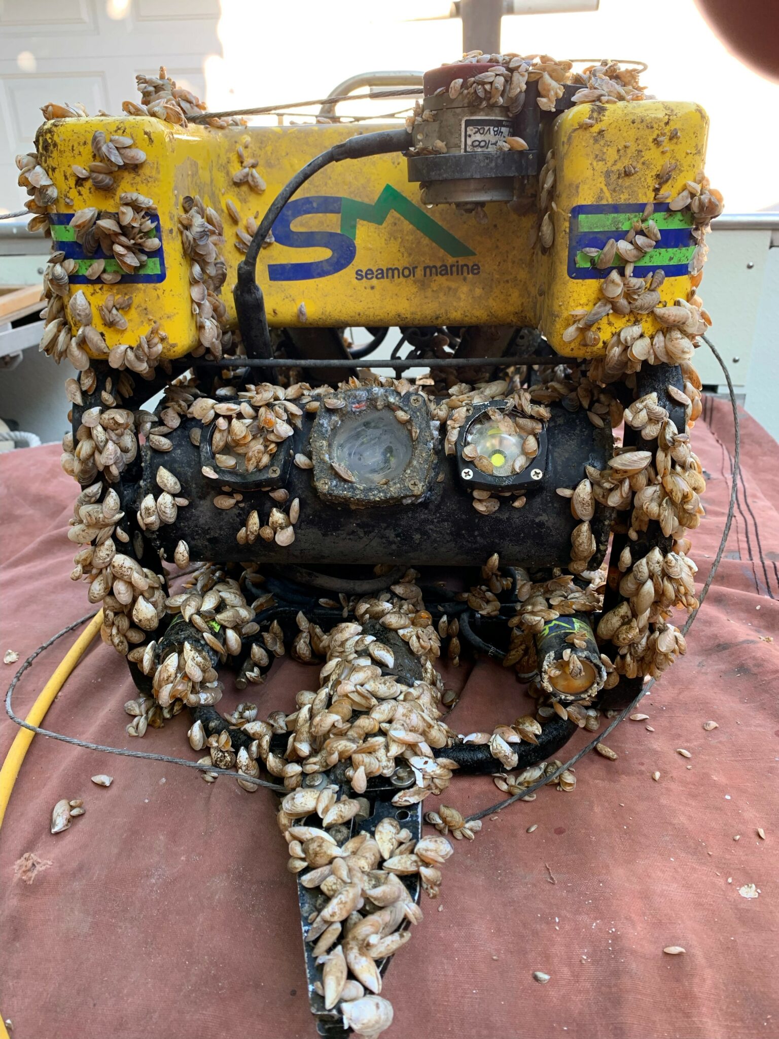 Case Study: ROV Recovery after 8 Years