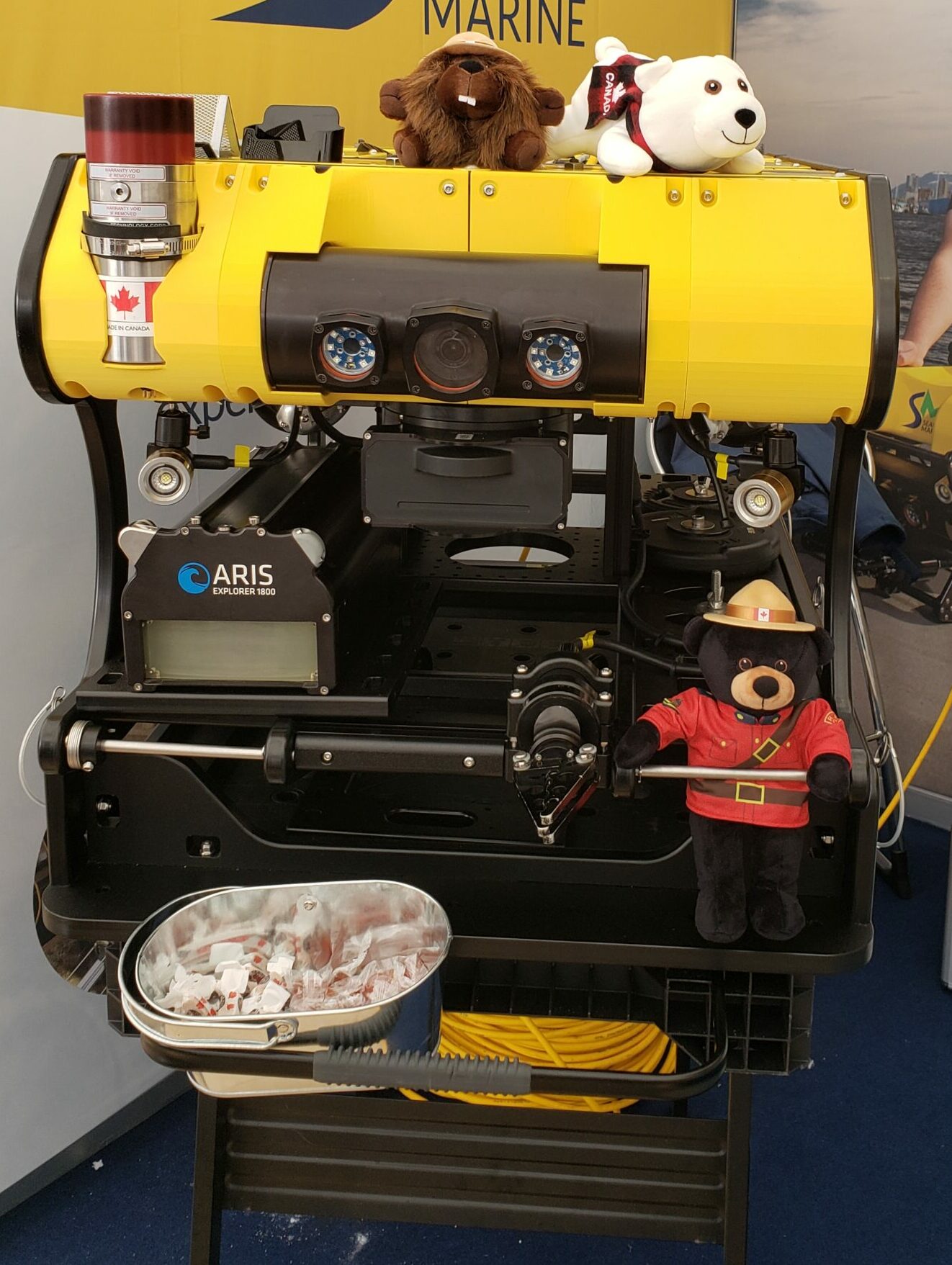 Different Types of Sonars - Multifrequency or Programmable? - SEAMOR ...